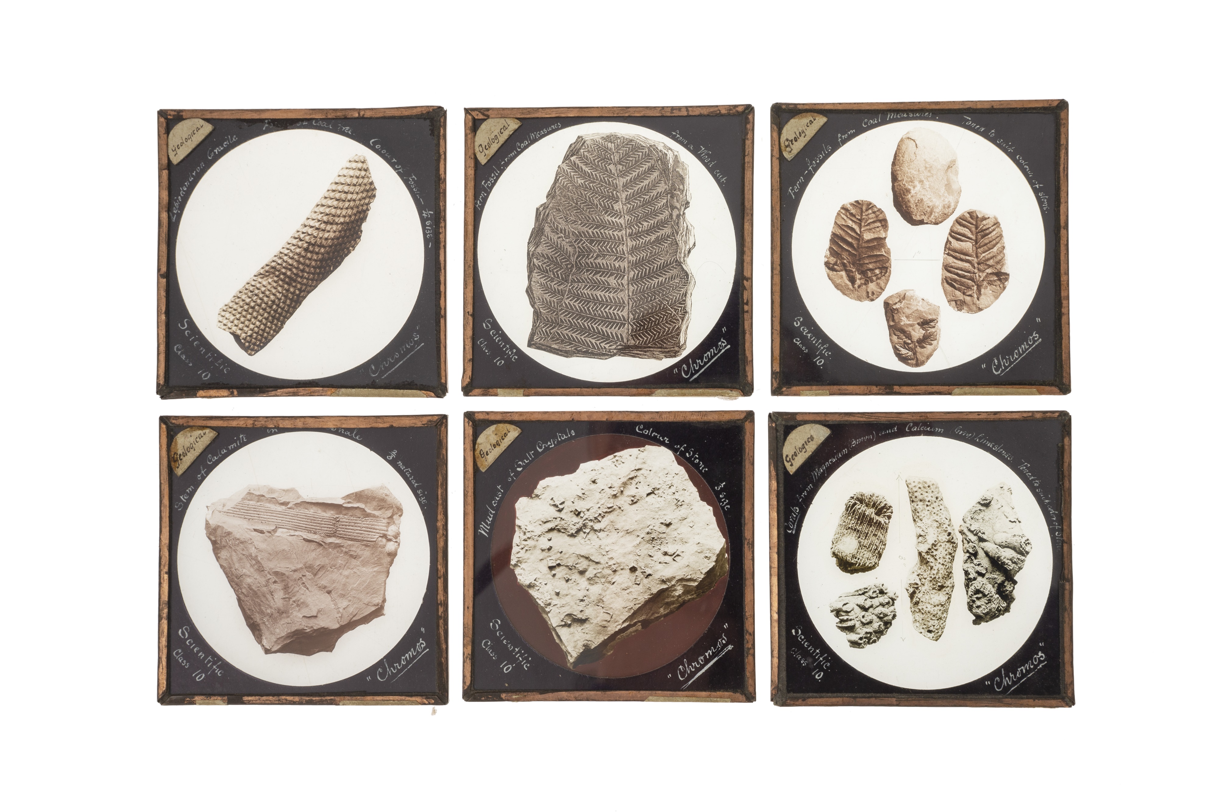Lot 294 - Prize-winning 19th Century Geological