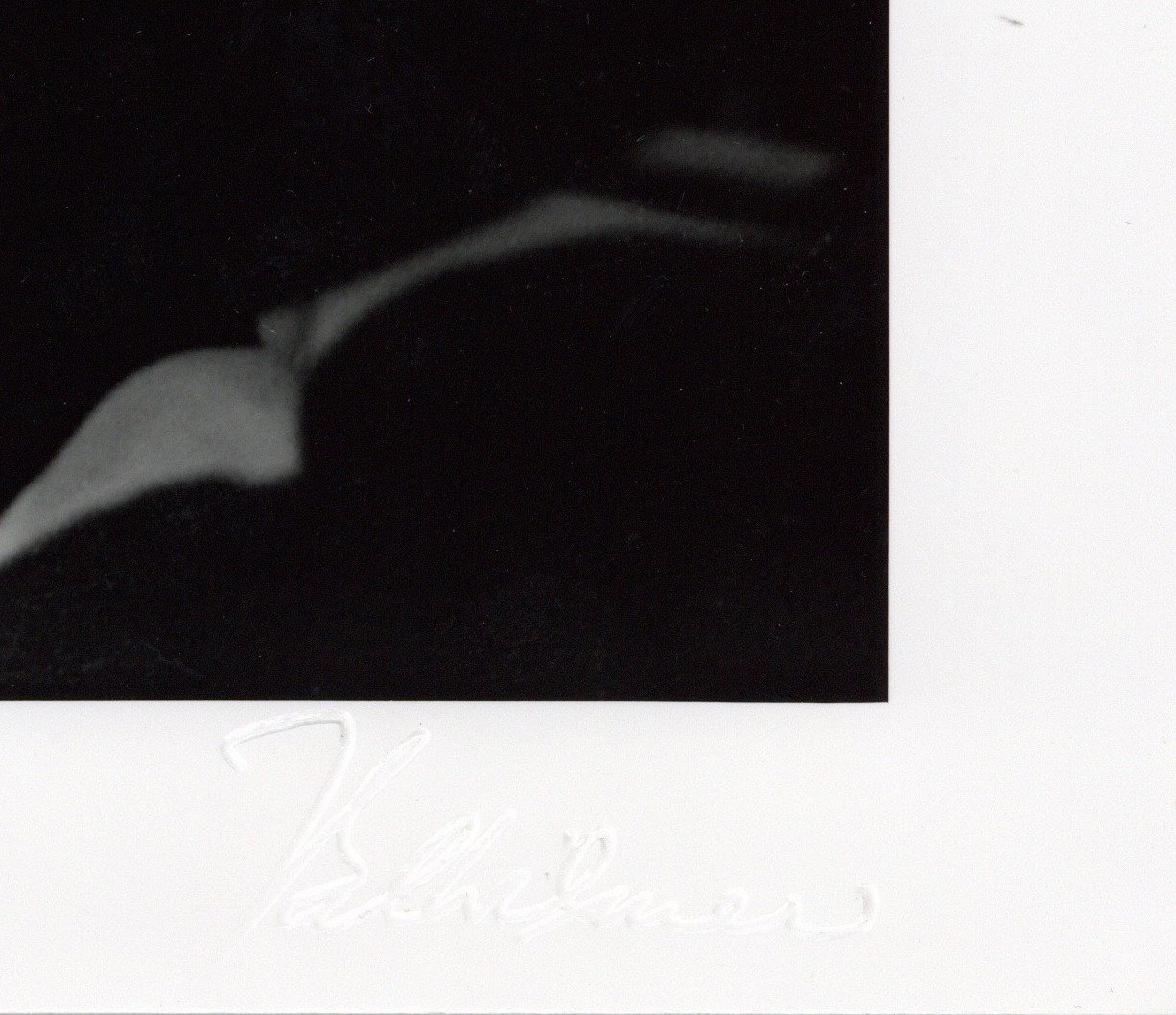 Lot 296 - VAL WILMER (1941-) A Photograph of Thelonius