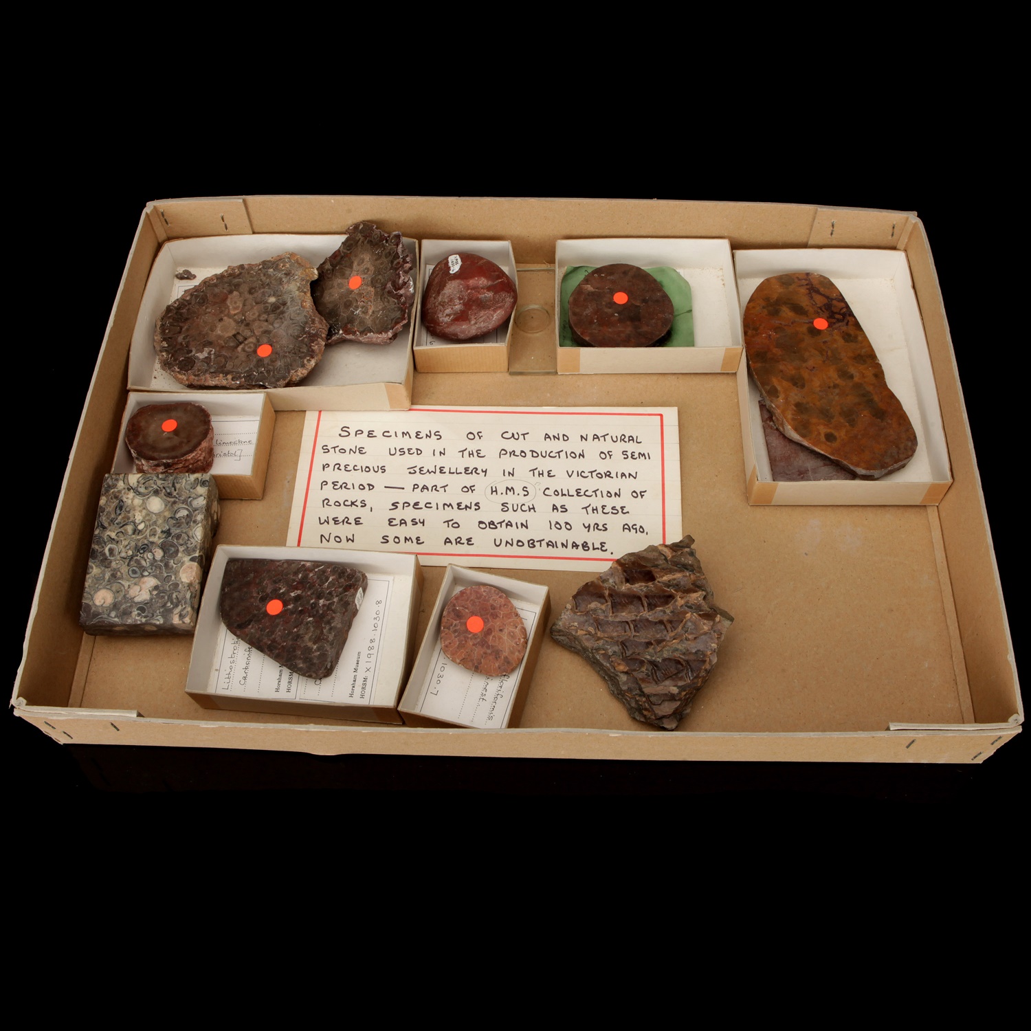Lot 204 - Collection of Mineral Samples From Horsham