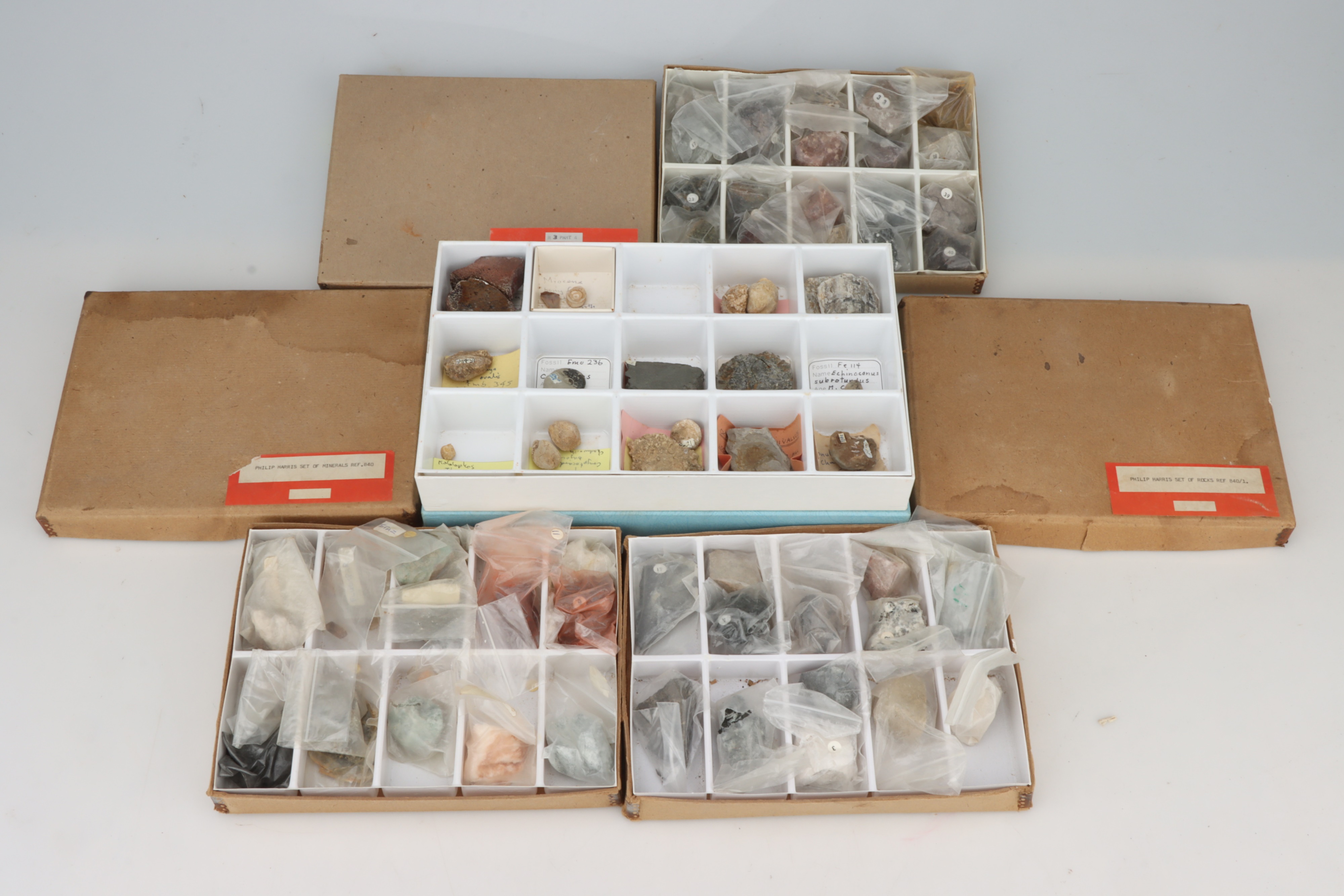 Lot 219 - Large Collection of Educational Geological