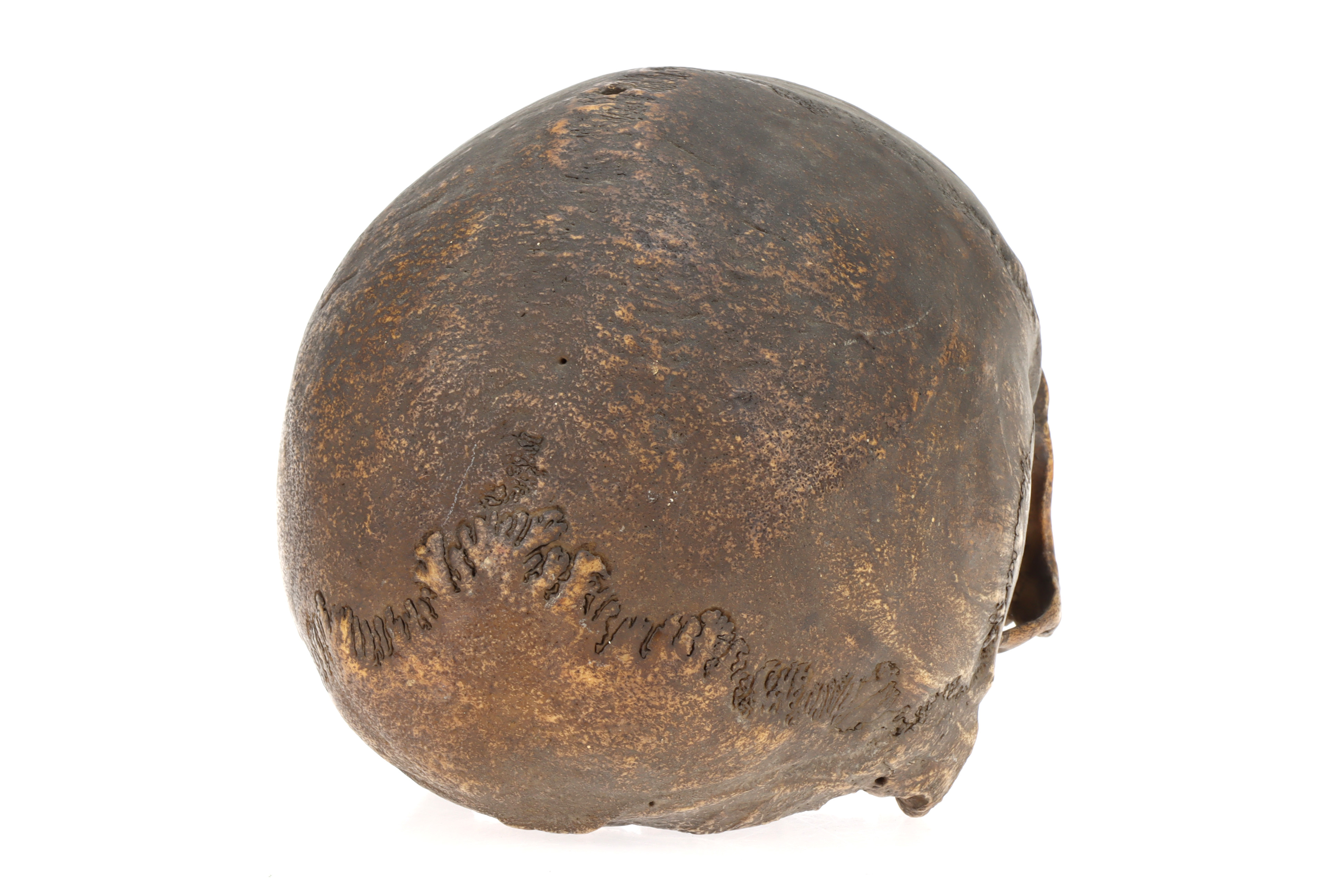 Lot 22 - An Ancient Human Skull,