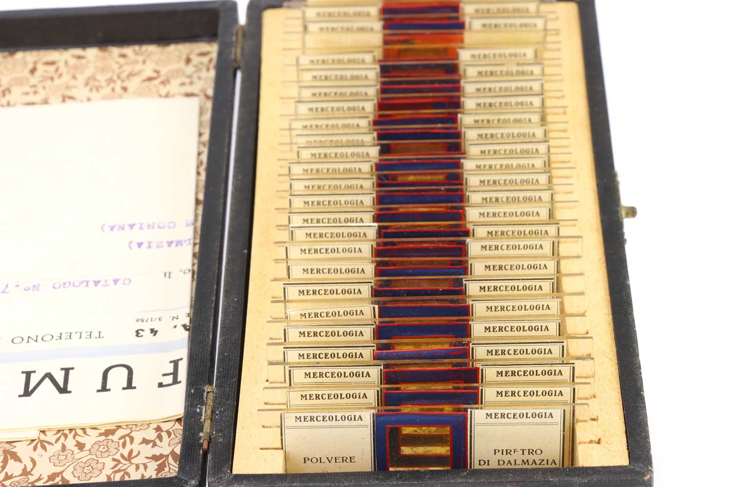 Lot 278 Microscope Slide Set