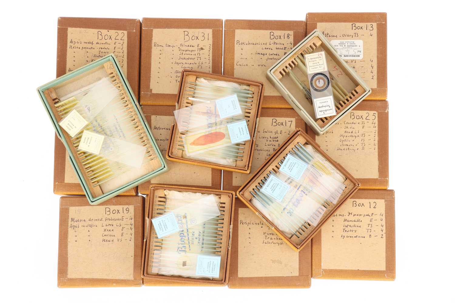 Lot 279 - Large Microscope Slide Set,