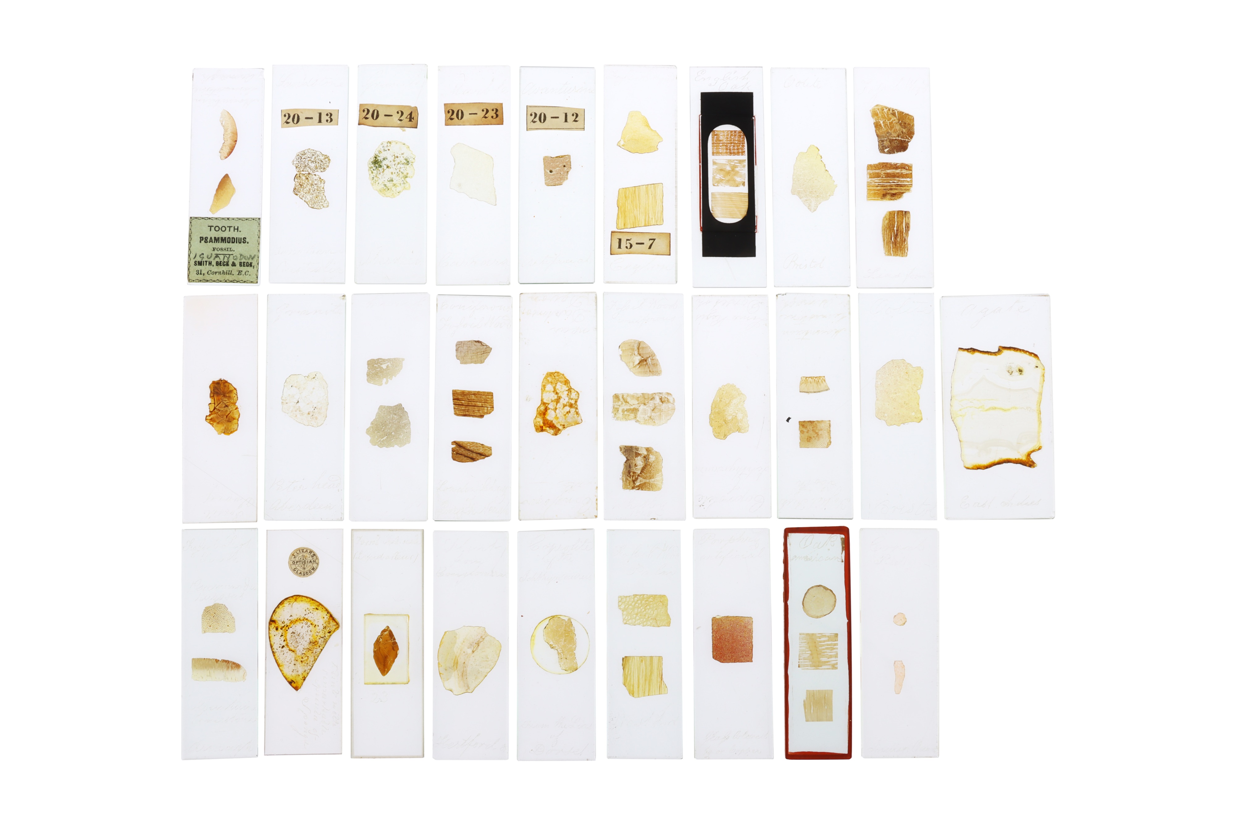 Lot 262 - A Fine Collection of 28 Early Rock Section