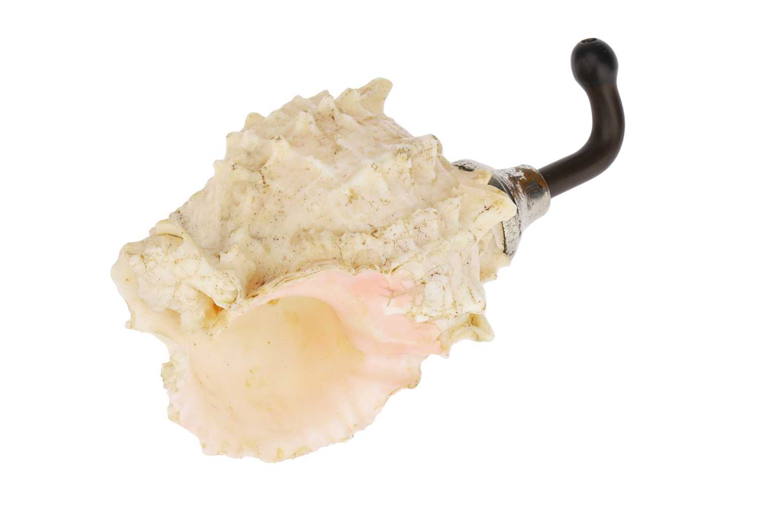 Lot 166 - An Unusual Antique Sea-Shell Ear Trumpet,