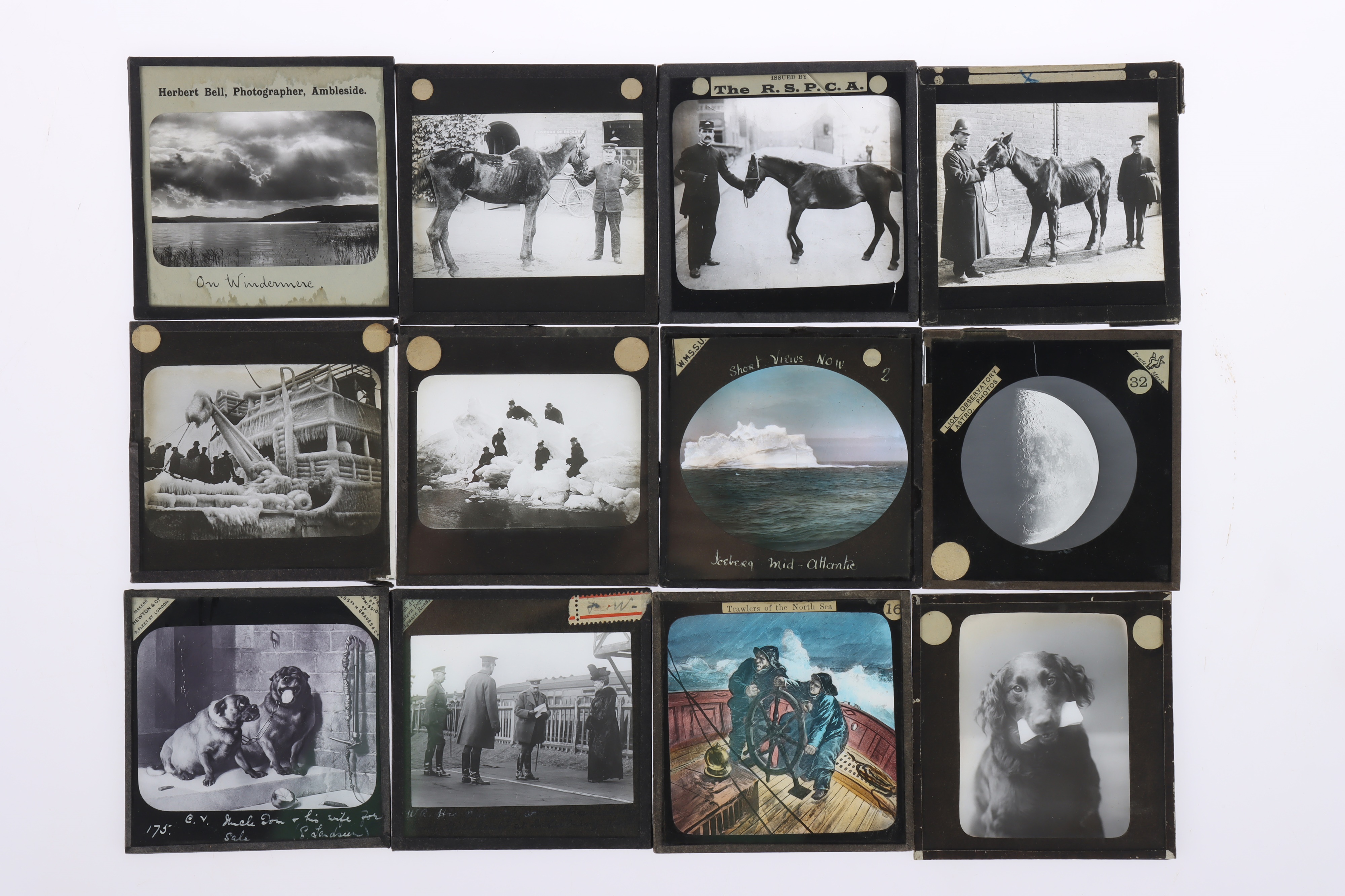 Lot 64 - Oak Cabinet of Magic Lantern Slides,