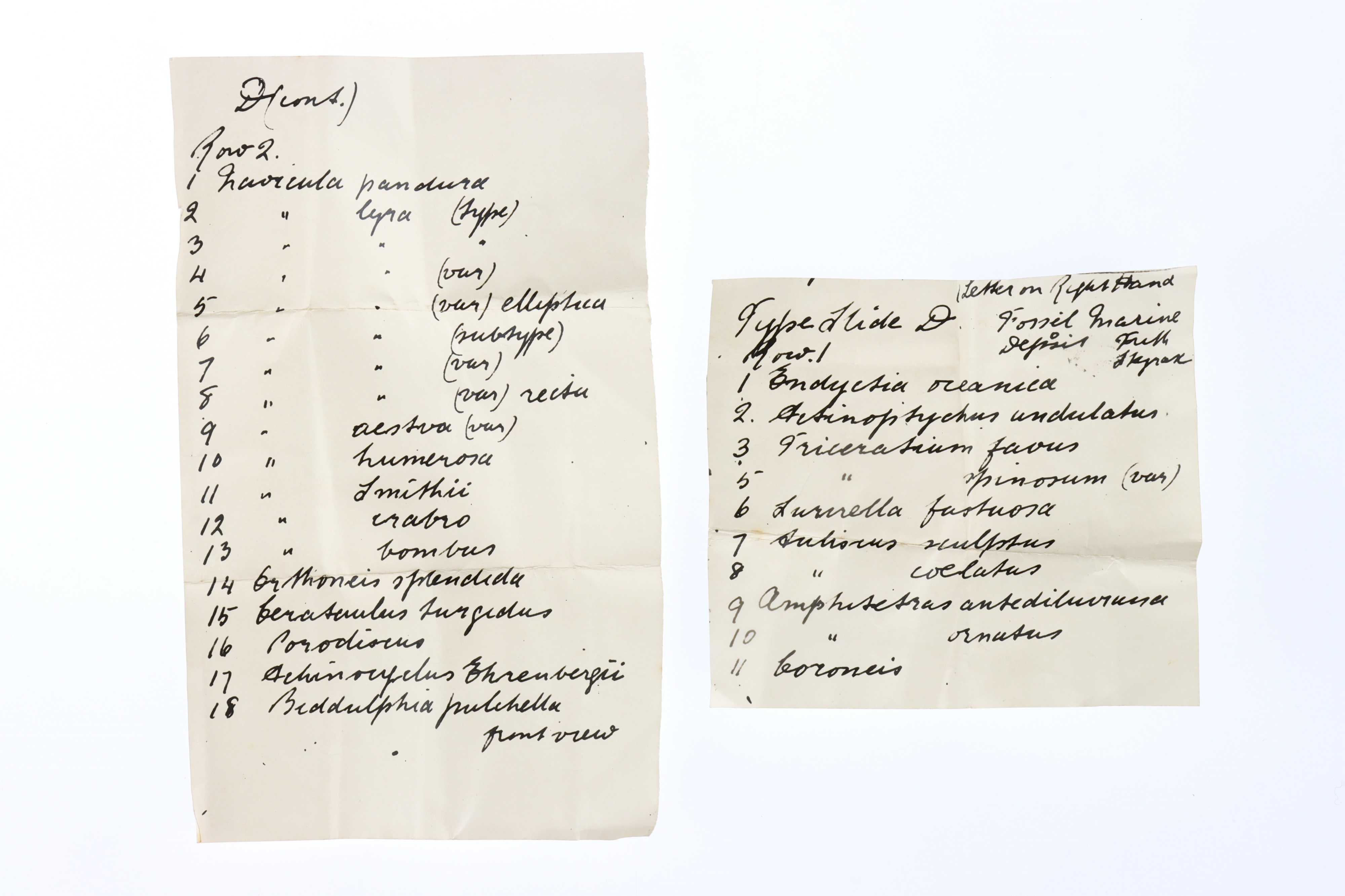 Lot 131 - 4 Microscope Diatom Type Slides,