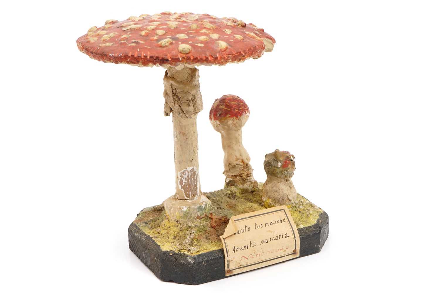 Lot 69 - A Collection Of 11 Painted Mushroom Models,