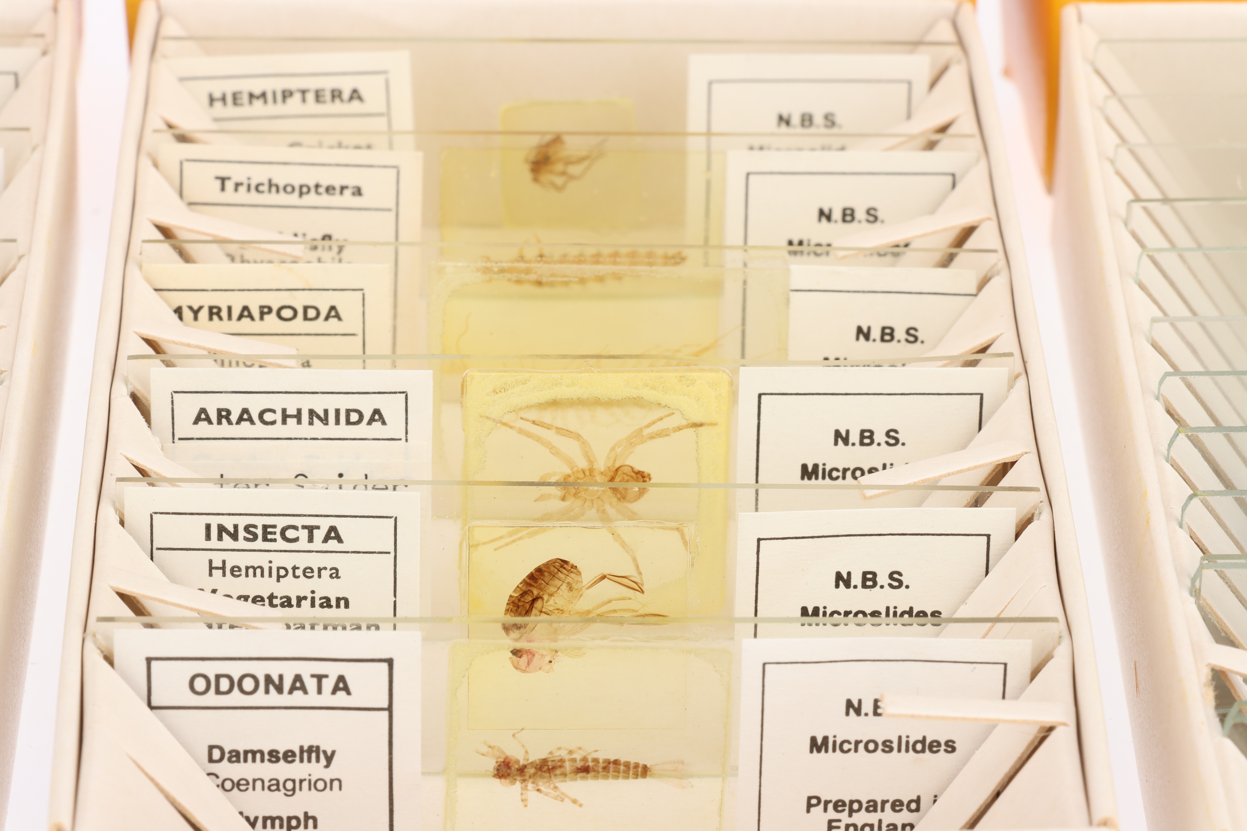 Lot 719 - Three Sets of NBS Microslides,
