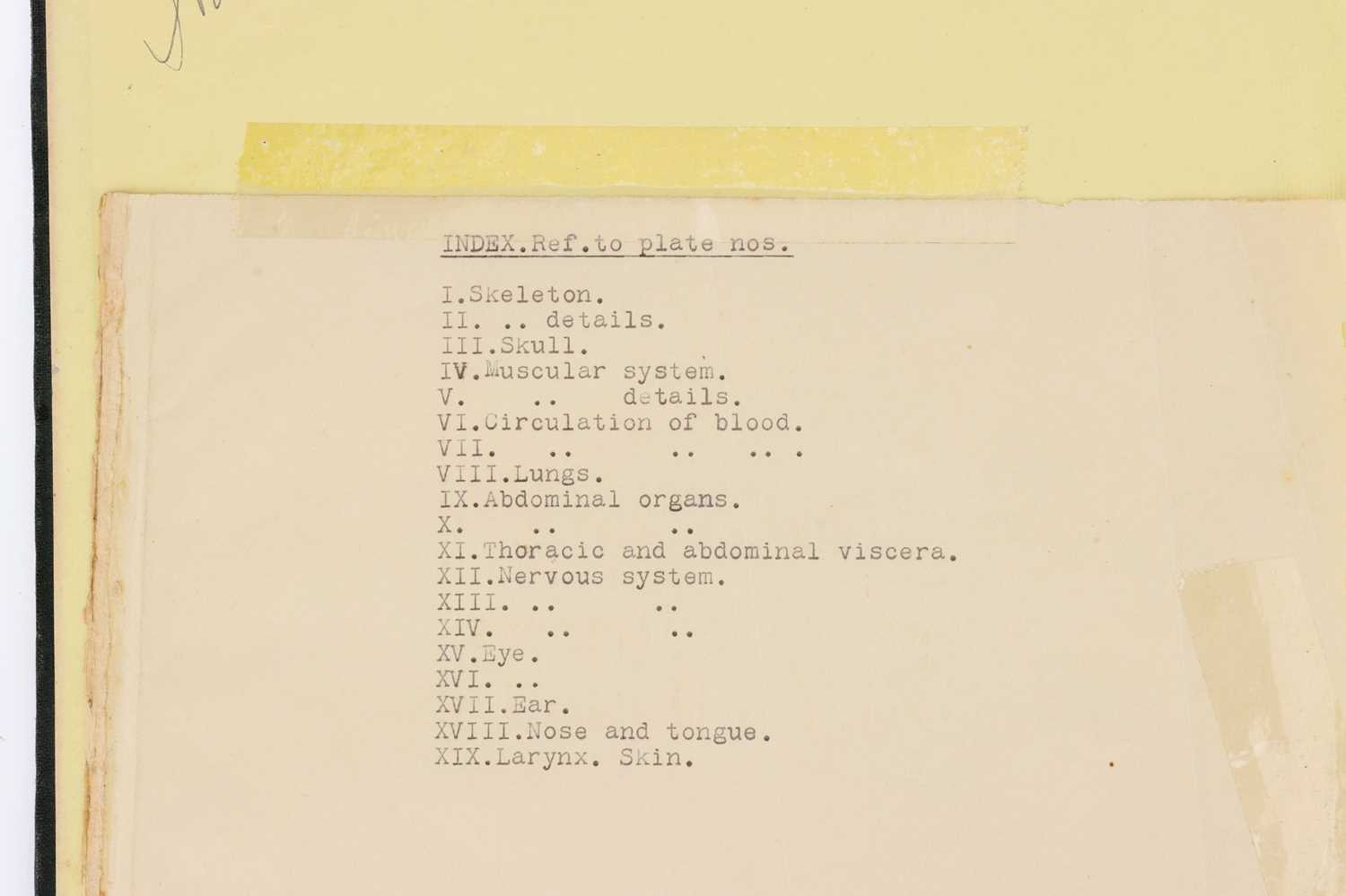 Lot 865 - Book - The Structure of the Human Body, 1897,