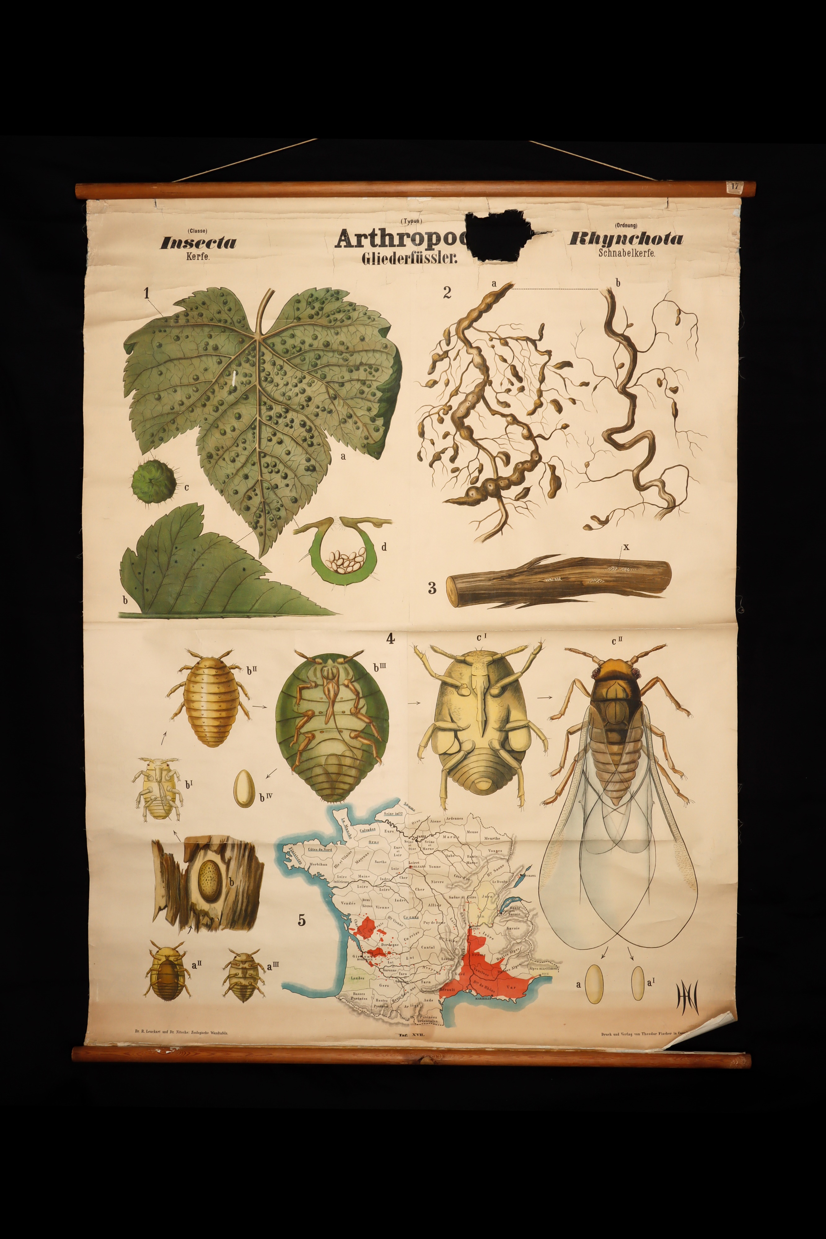 Lot 186 - Collection of 10 German Didactic Scientific