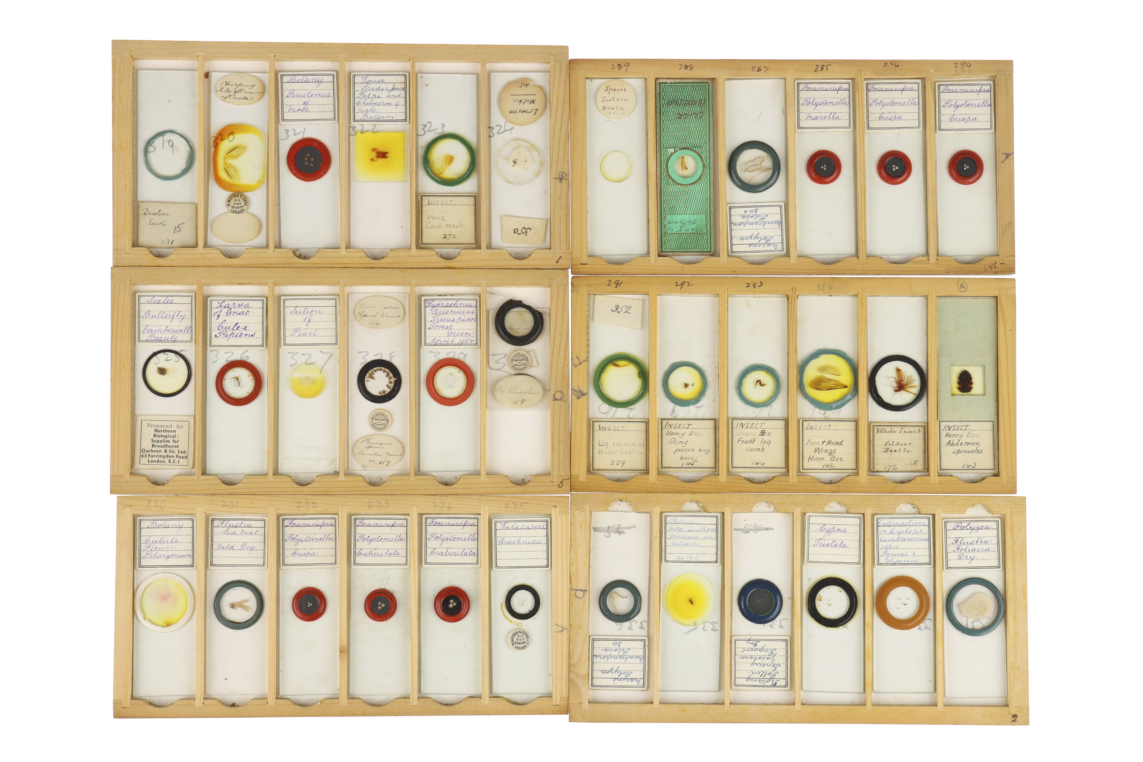 Lot 530 - Large Collection of Microscope Slides,