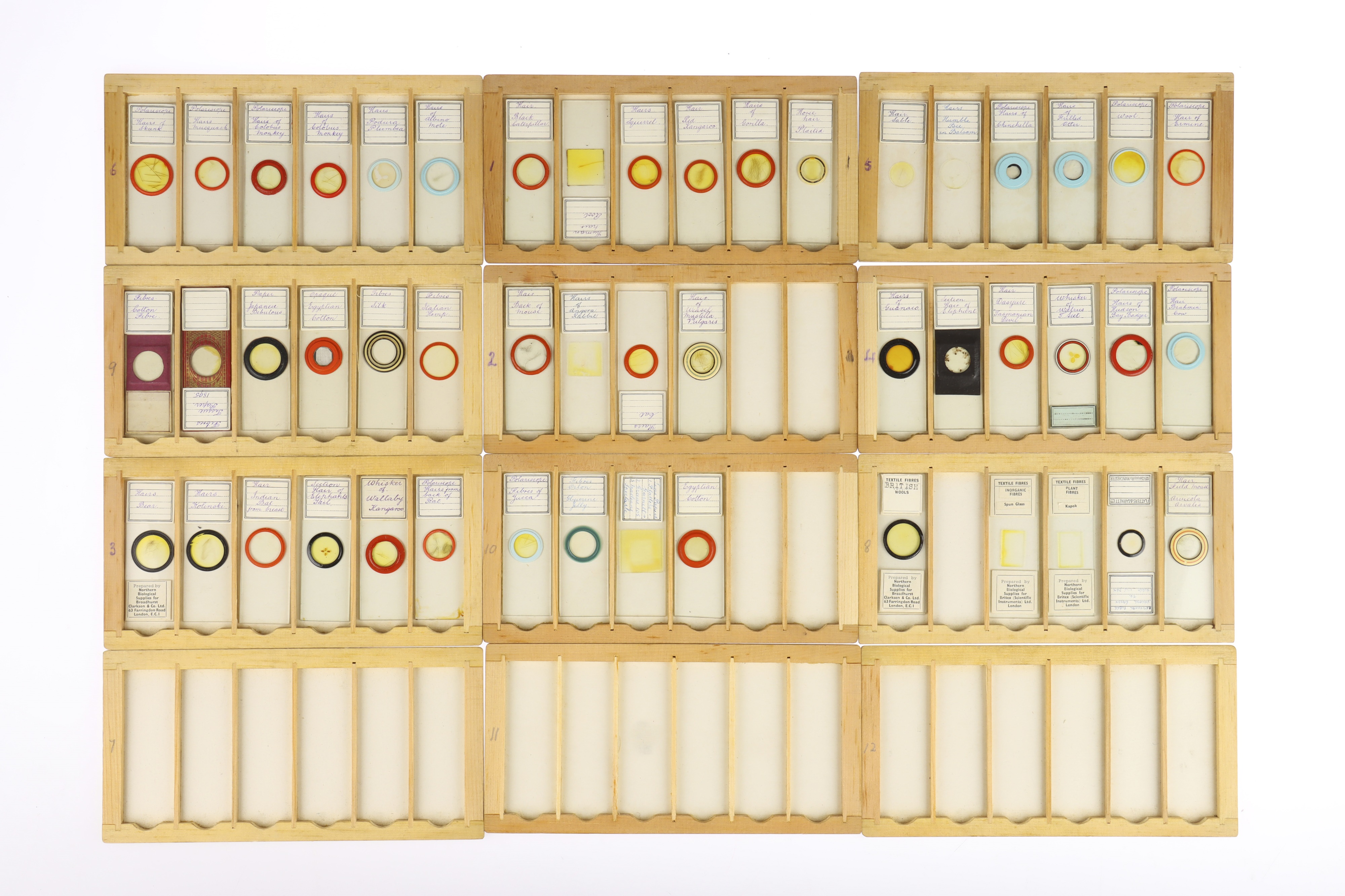 Lot 531 - Large Collection of Microscope Slides,