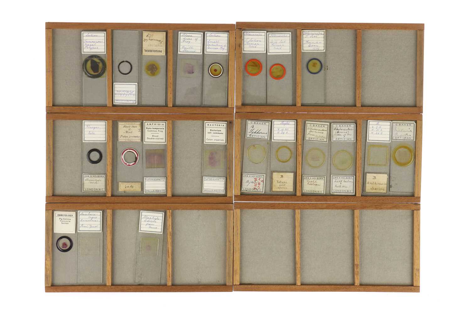 Lot 532 - Large Collection of Microscope Slides,