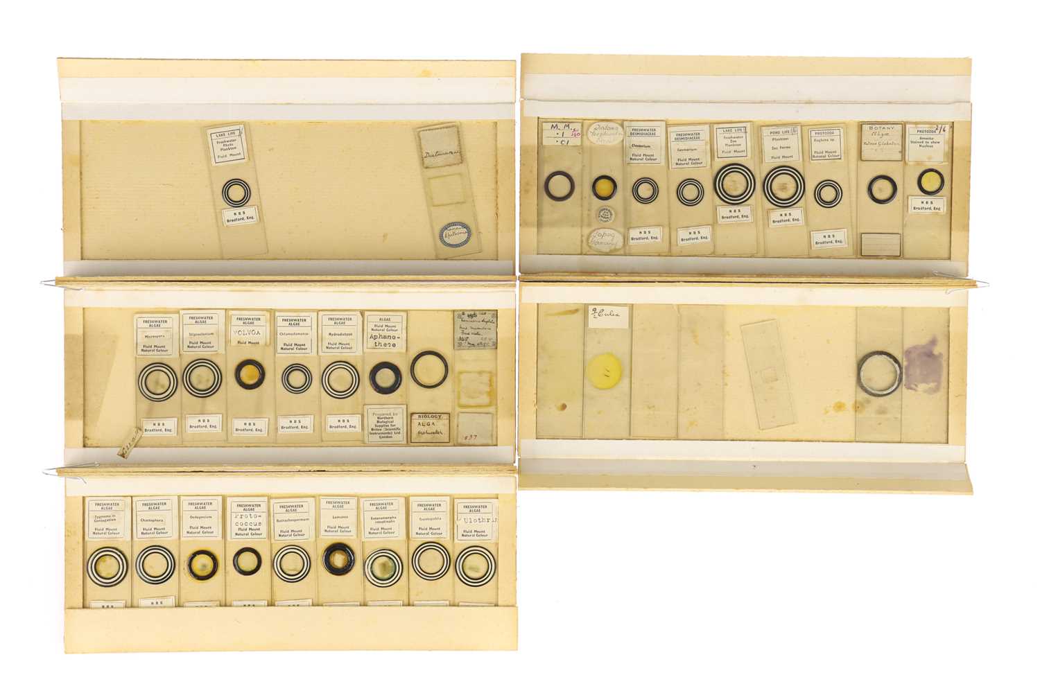 Lot 532 - Large Collection of Microscope Slides,
