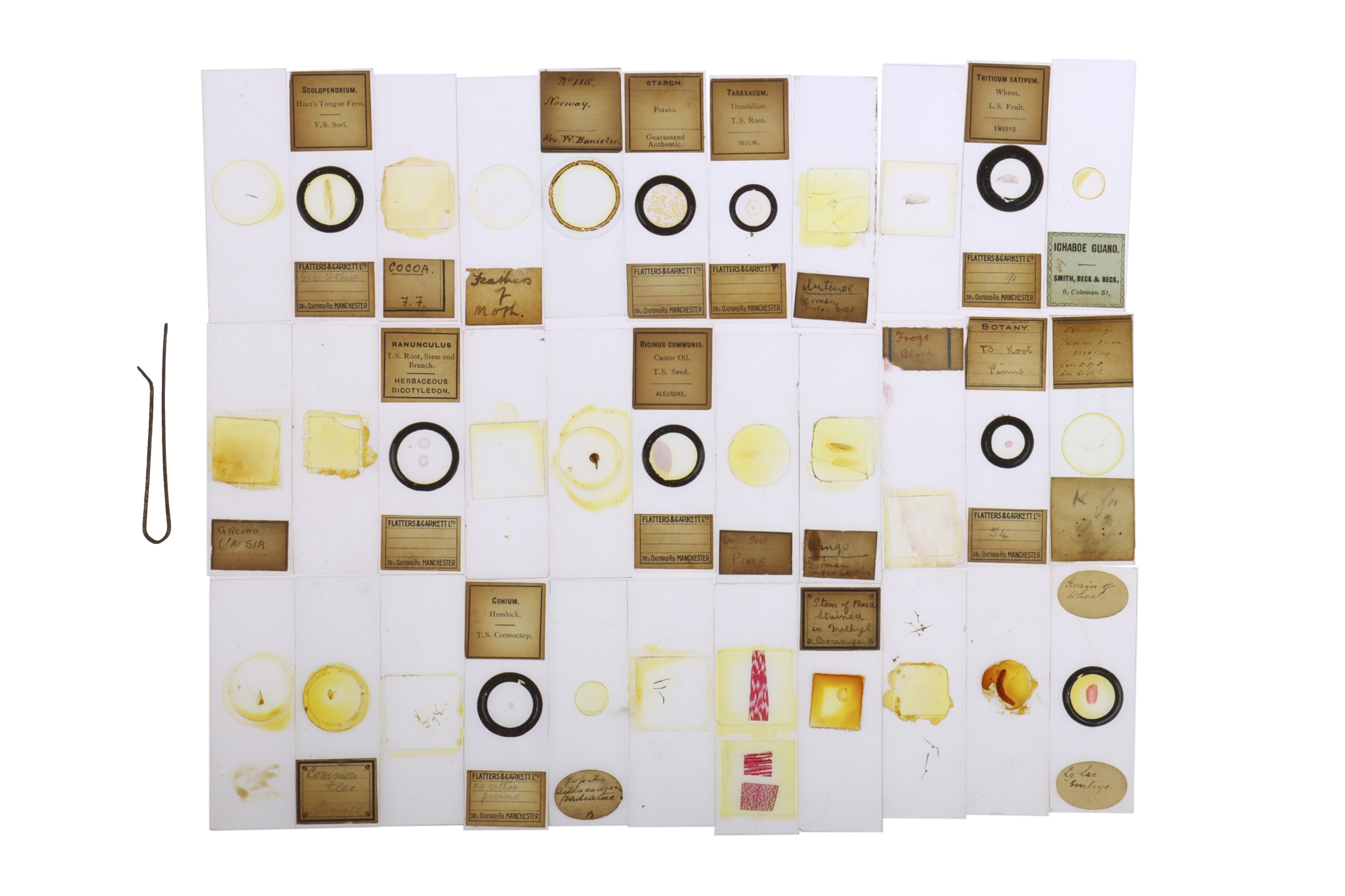 Lot 532 - Large Collection of Microscope Slides,