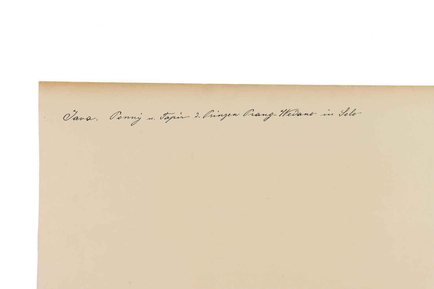 Lot 27 - Java. Man and Boy with animals.