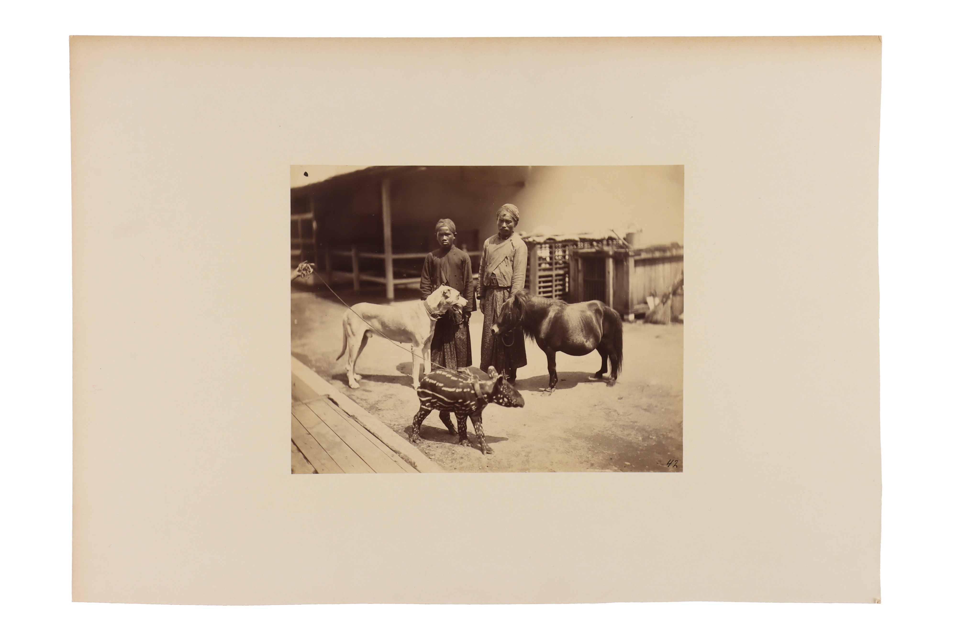 Lot 27 - Java. Man and Boy with animals.