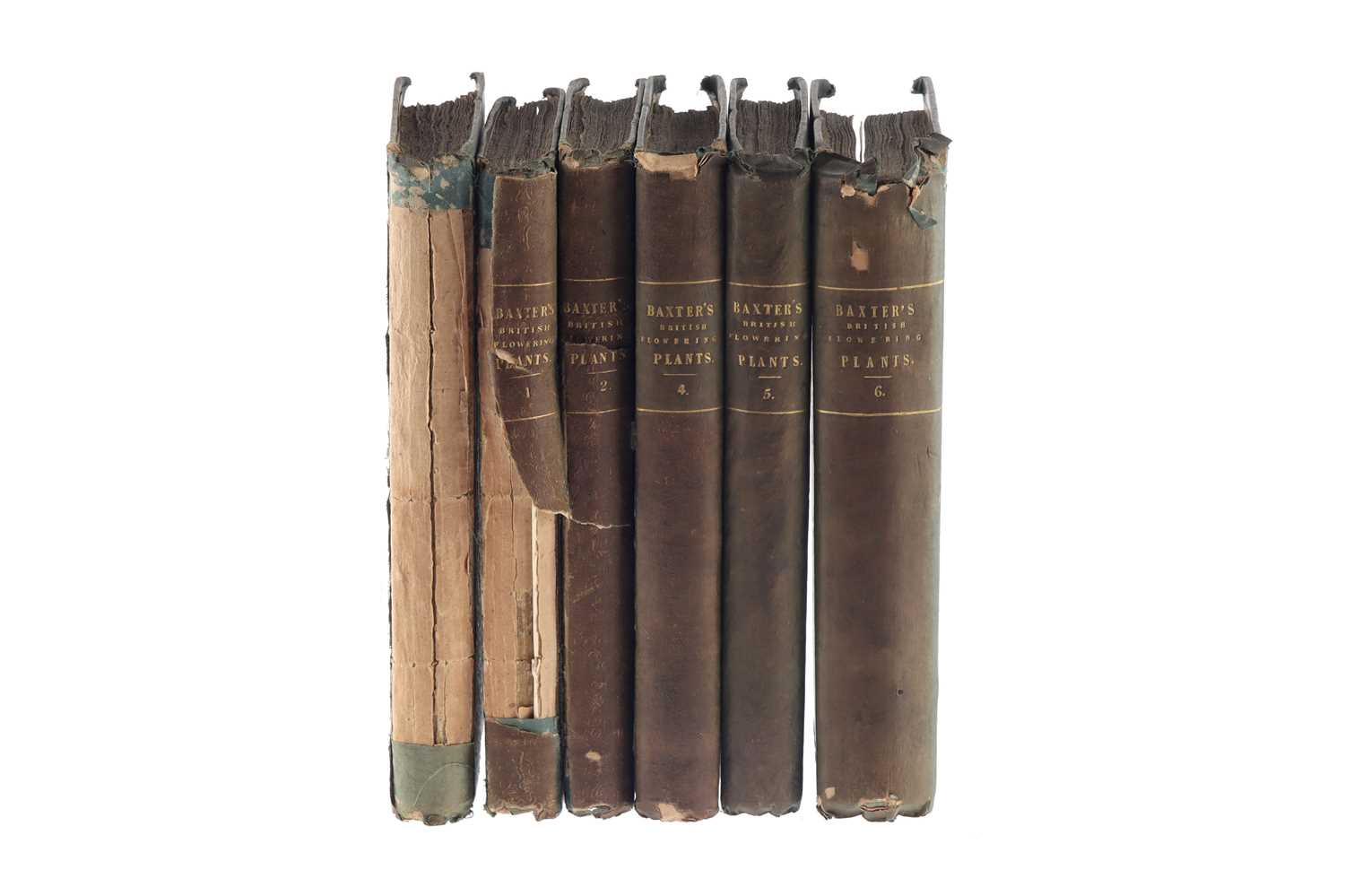 Lot 1232 - Baxter, W., British Phaenogamous Botany,