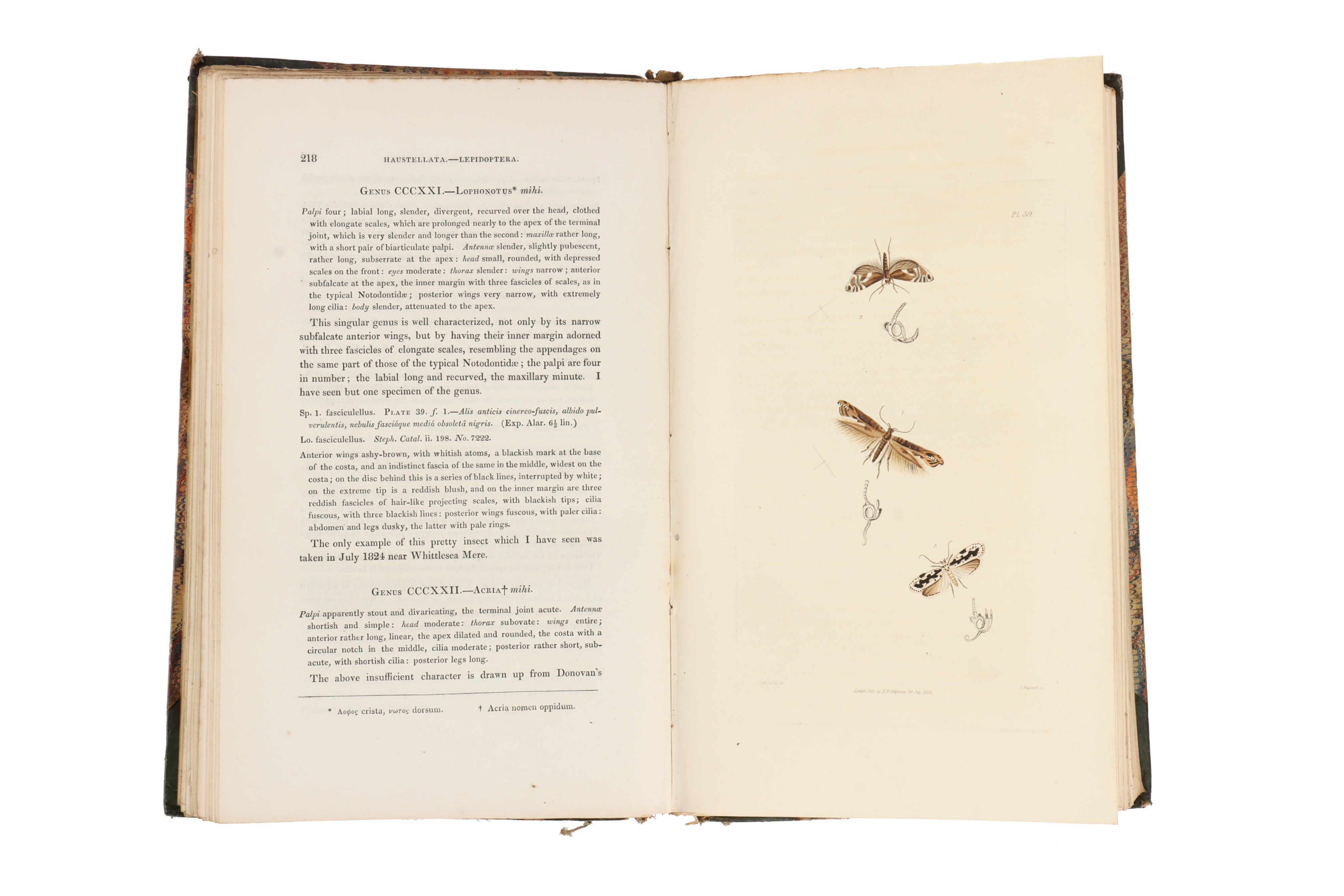 Lot 1225 - Charles Darwins First Published