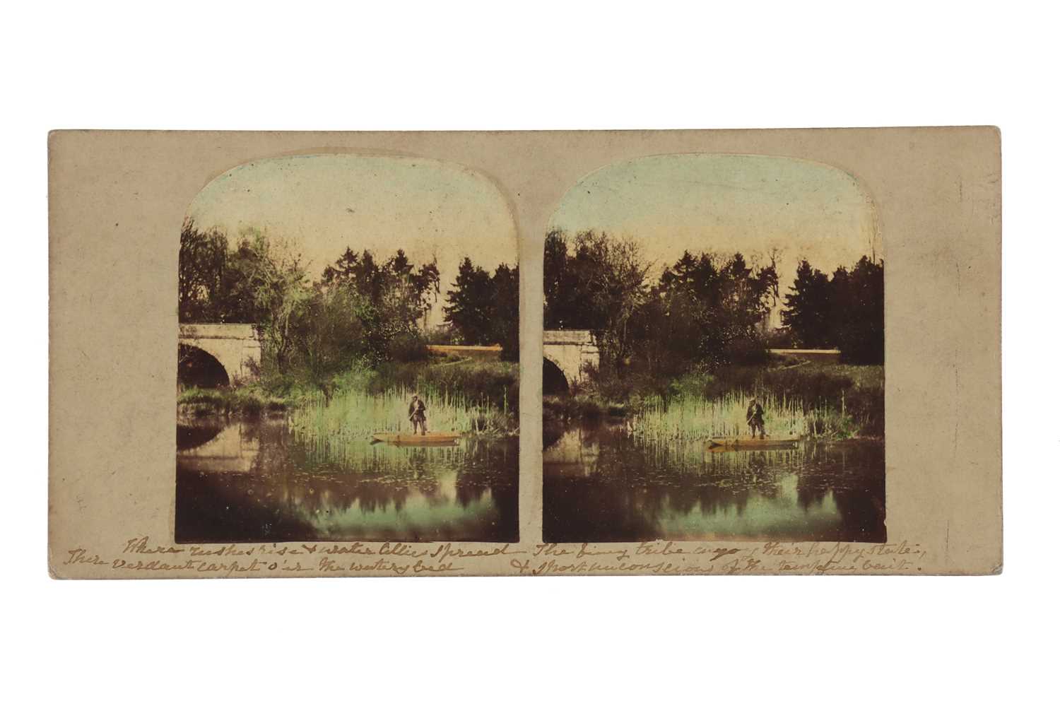 Lot 142 - T. R. Williams Stereocard, Scenes in Our