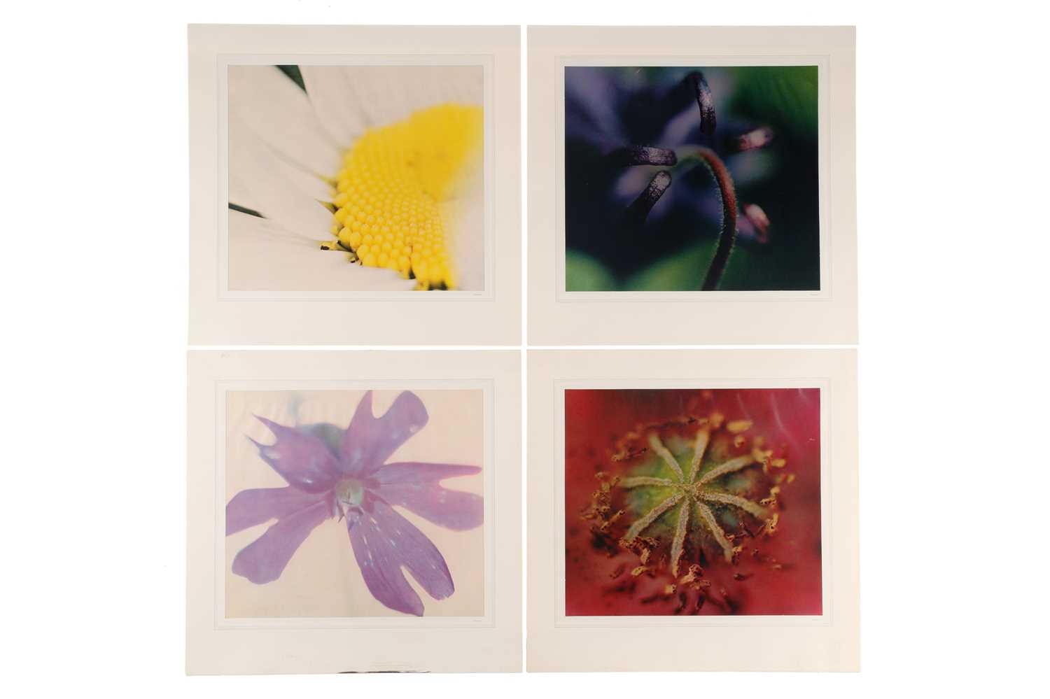 Lot 550 - Lord Snowden