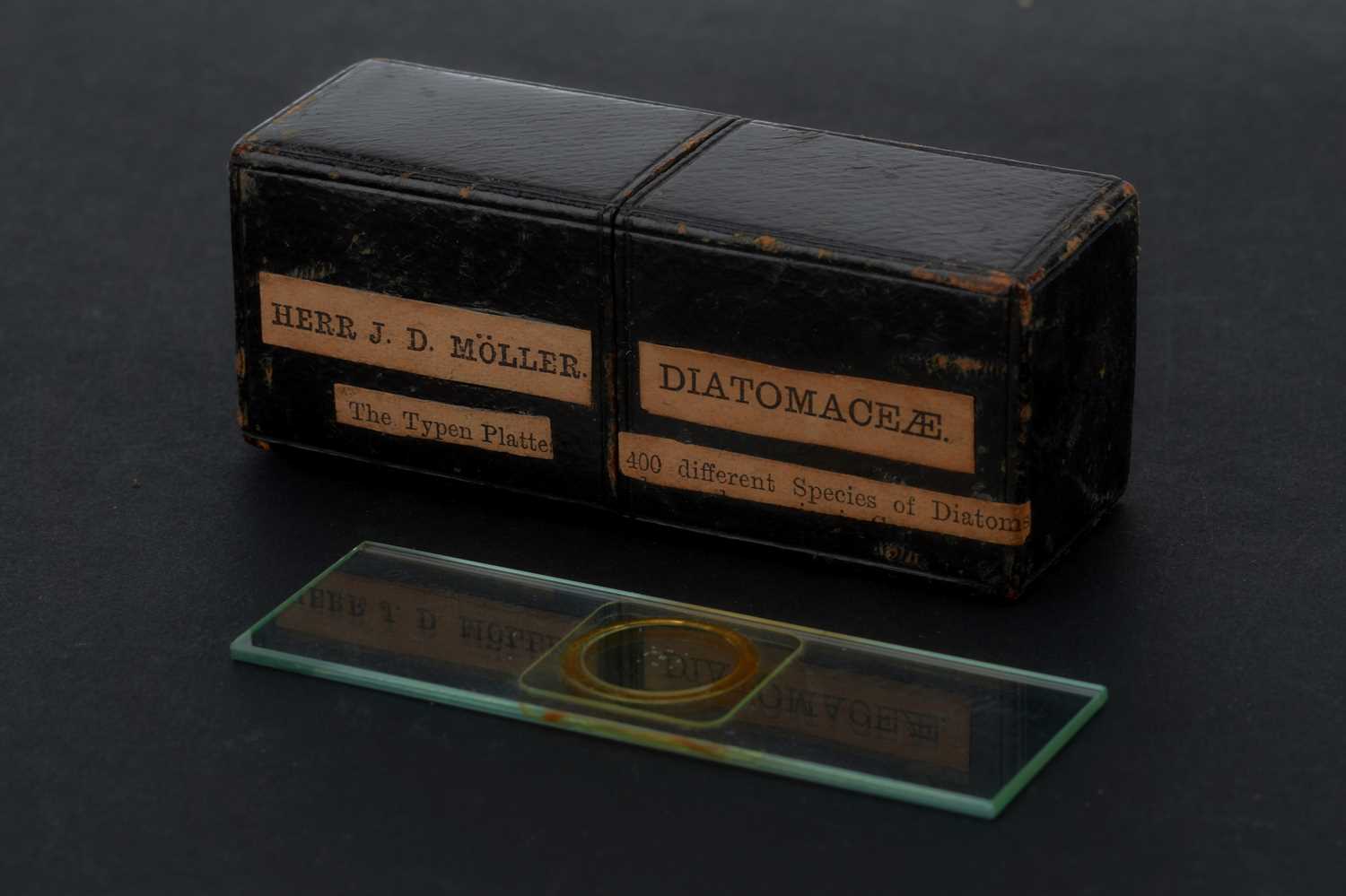 Lot 243 - A Very Fine 400 Diatom Microscope Slide,