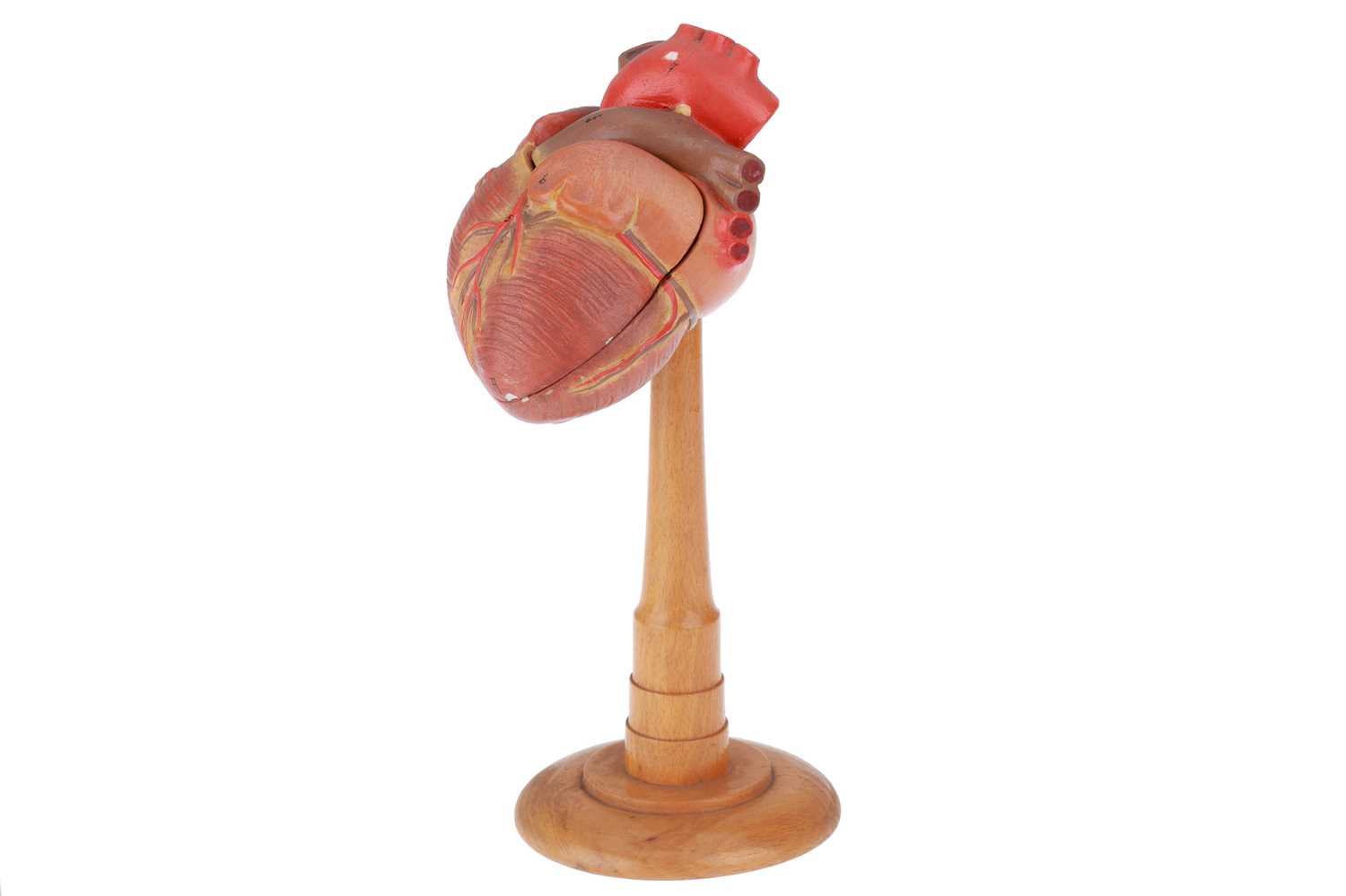 Lot 296 - Rouilly, Adam, Anatomical Model of a Heart,