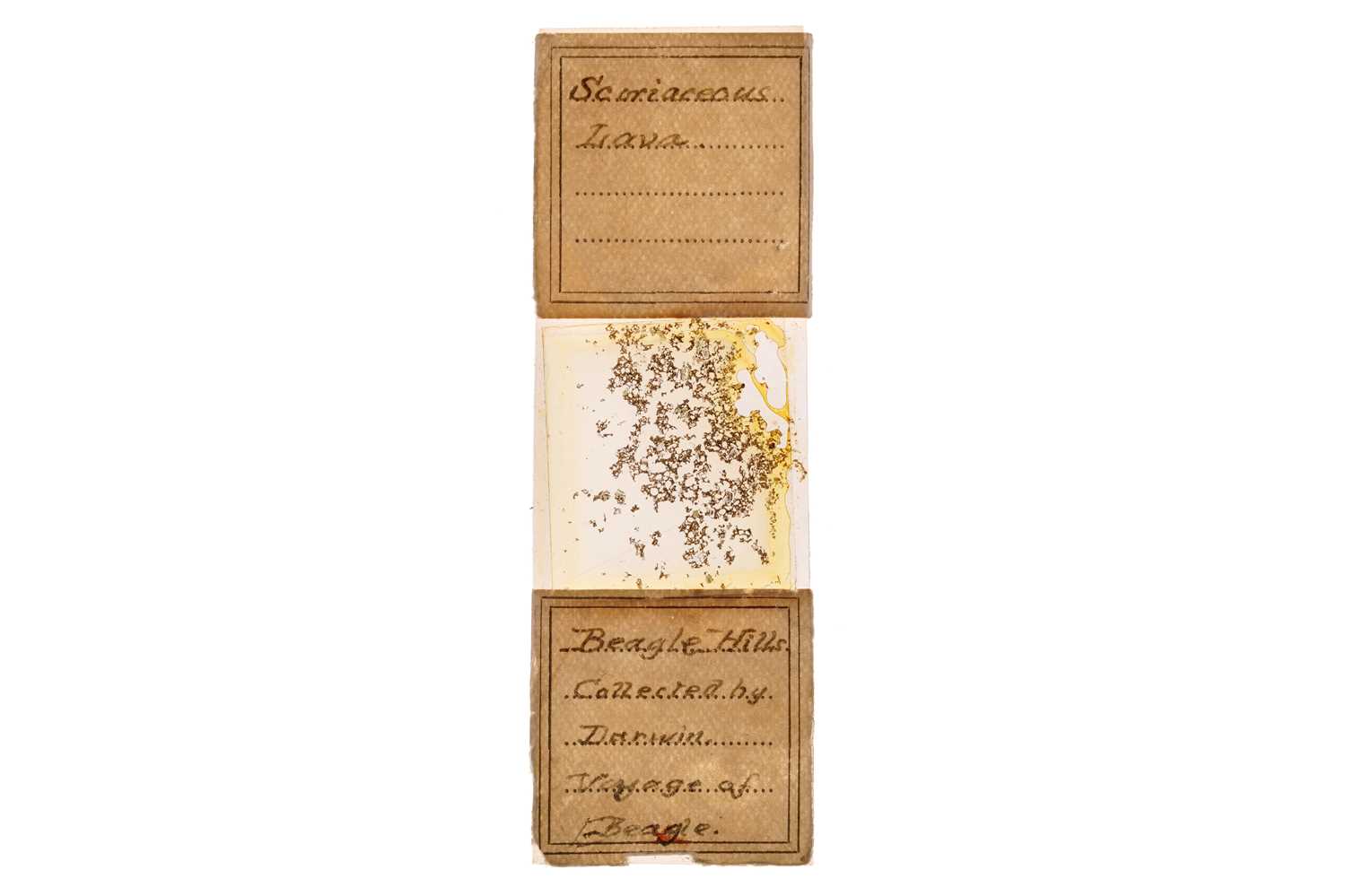 Lot 215 - Darwin, Charles, Microscope Specimen Slide