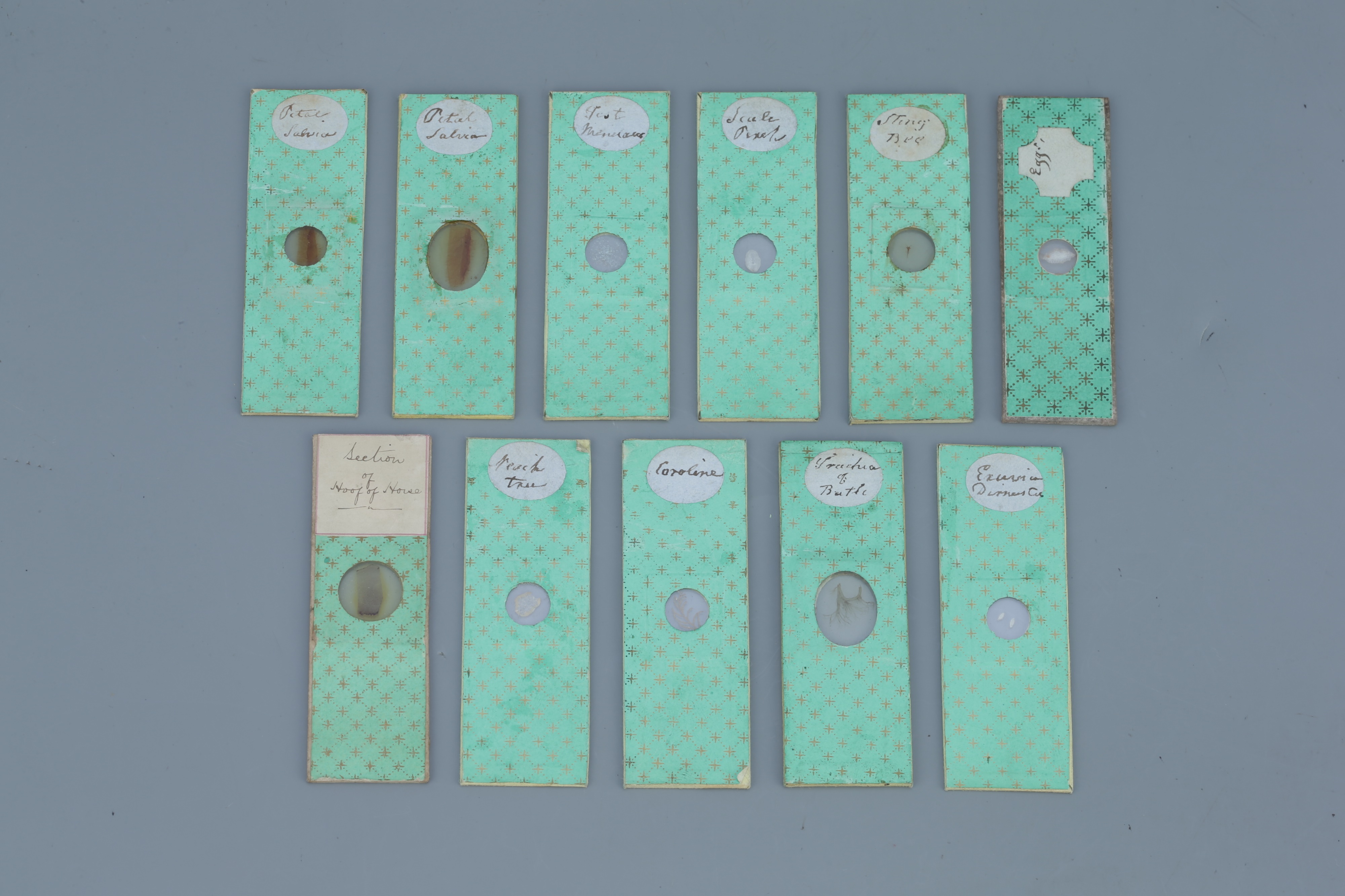 Lot 9 - An Early Collection of Microscope Slides,