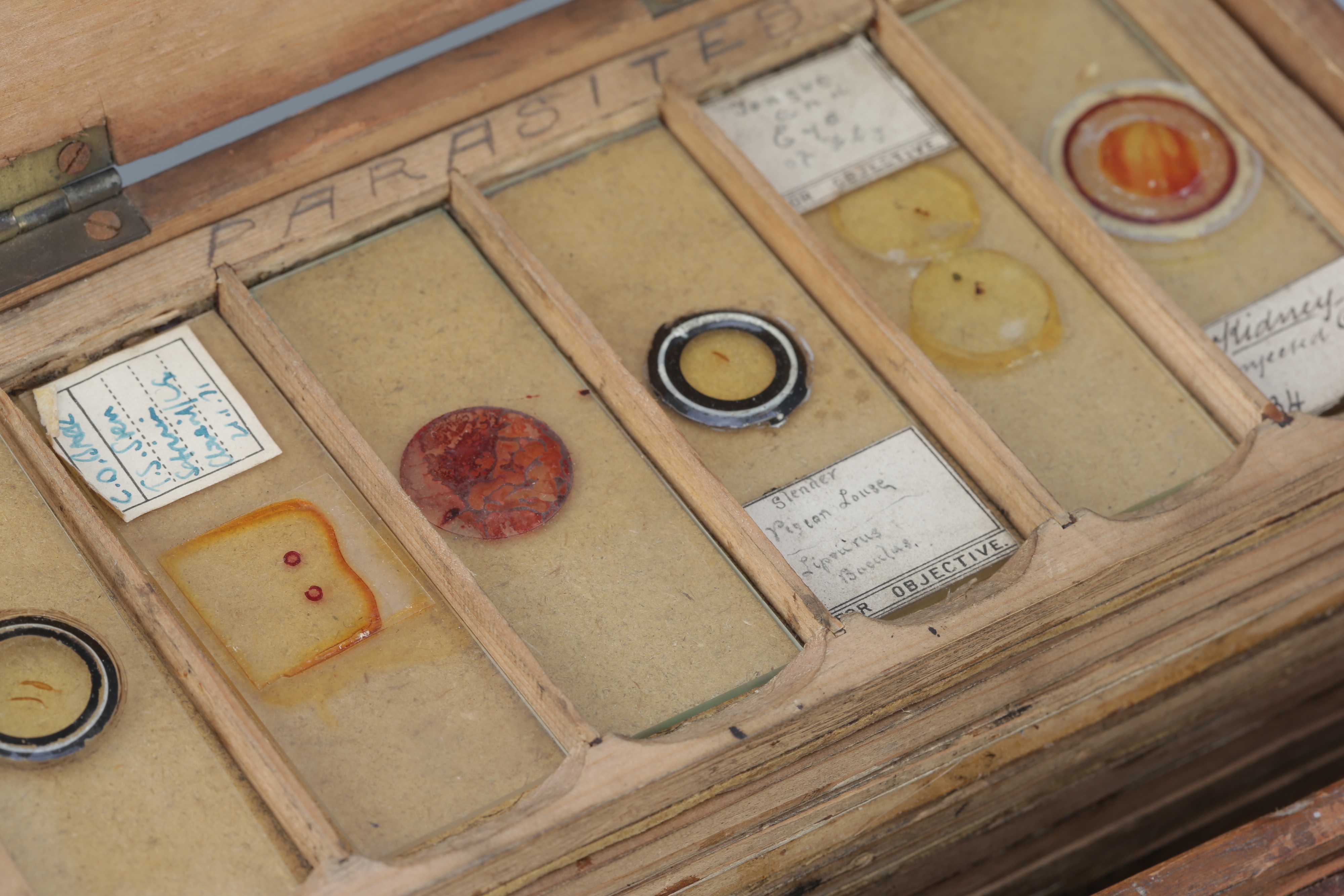 Lot 37 - two microscope slide boxes