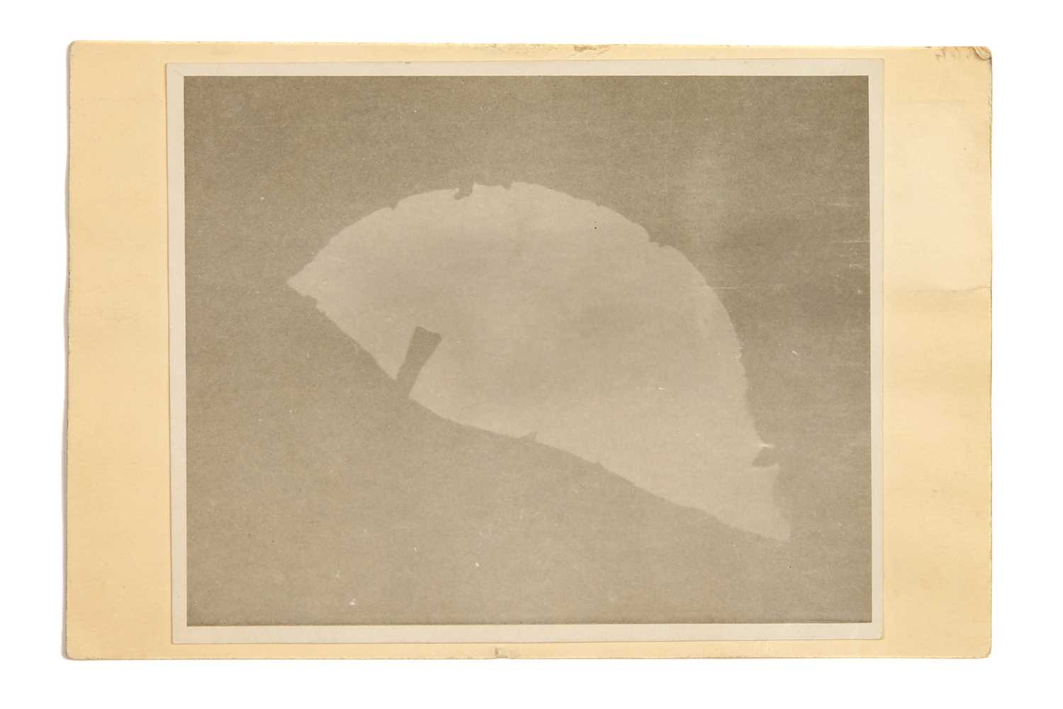 Lot 432 - The First Image Ever Taken Using an Electron