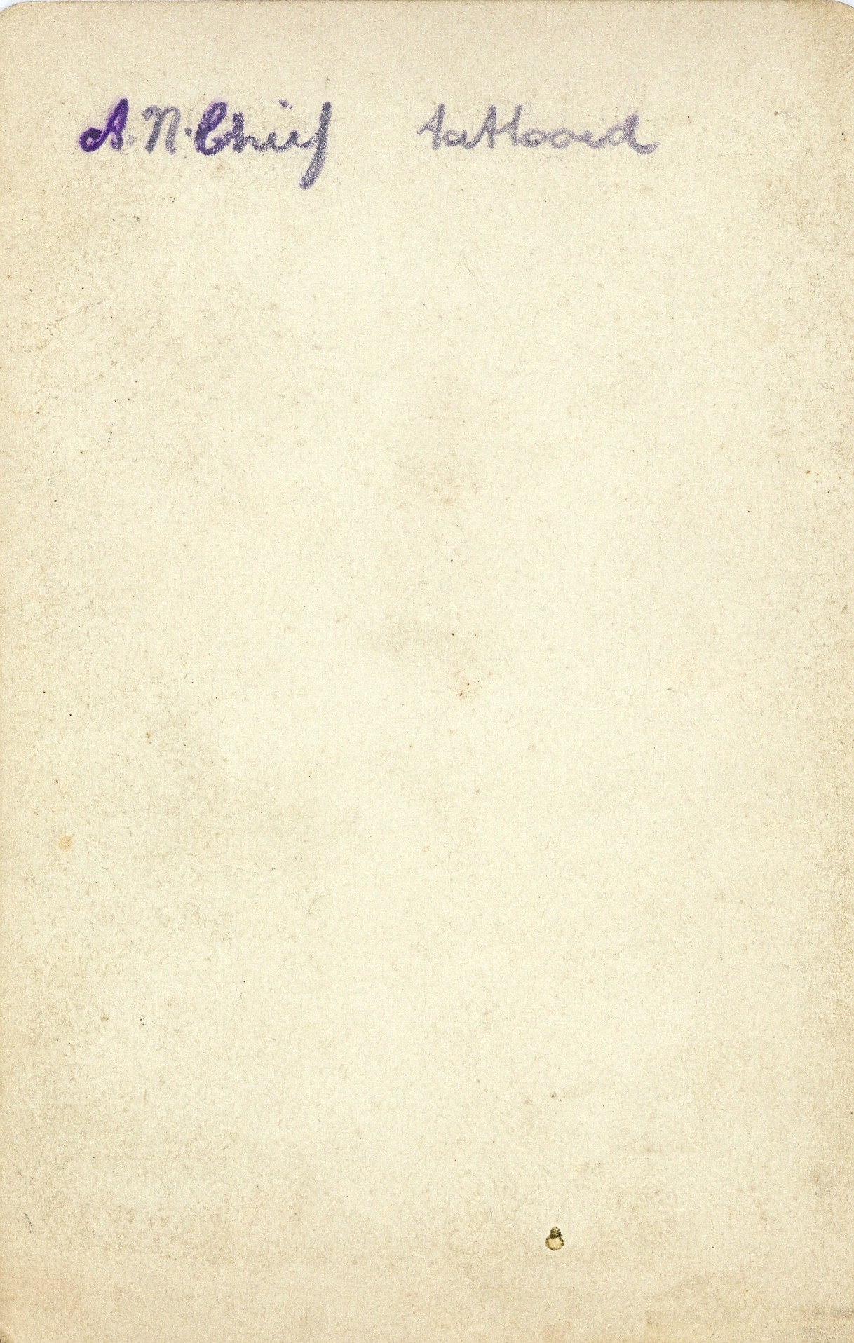 Lot 111 - ELIZABETH PULMAN (1836-1900), A Maori Chief,