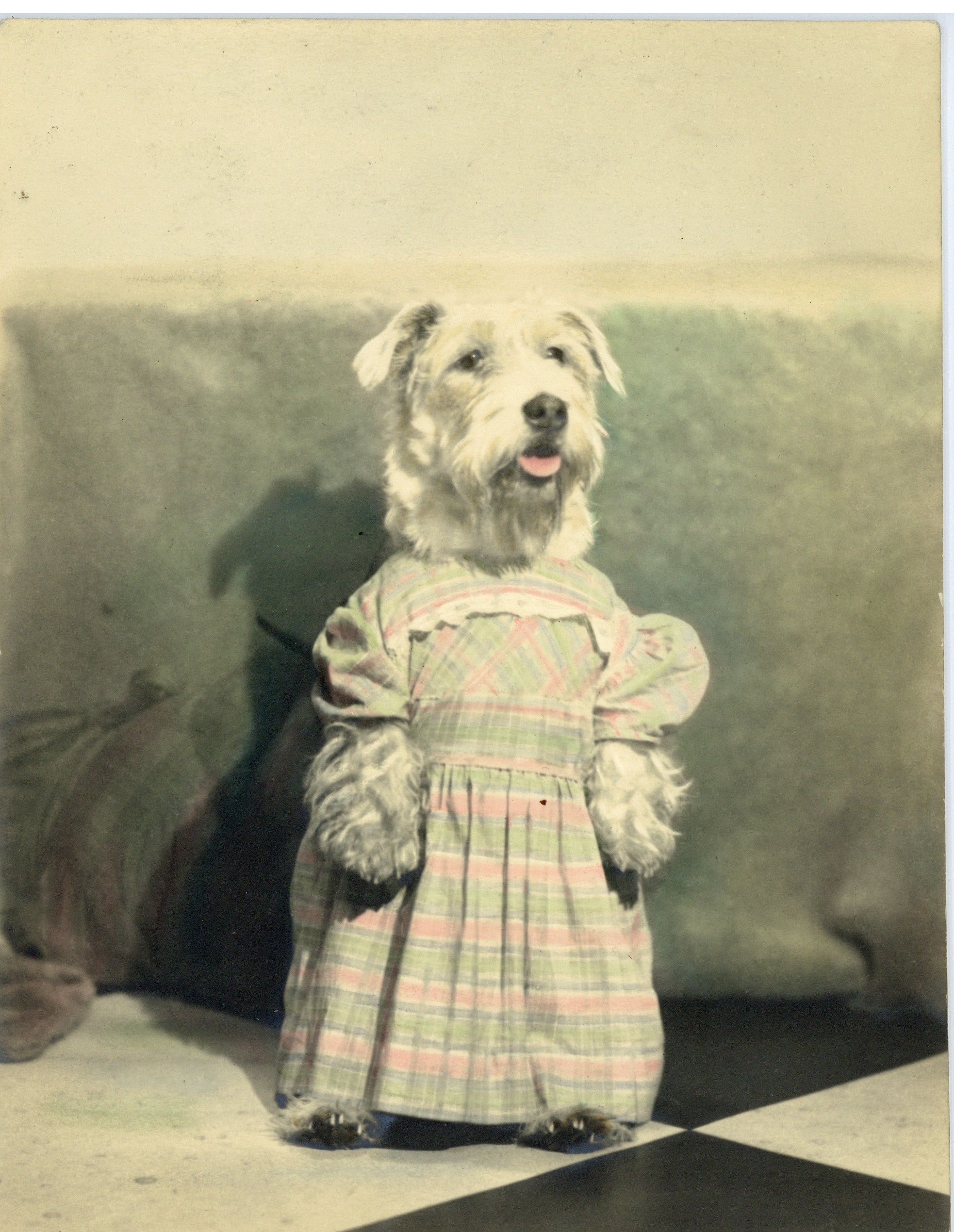 Lot 125 - RANDOLPH BEZZANT HOLMES (1888-1973) Bromoil,